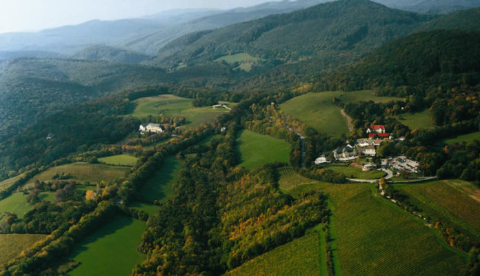Visita a Wienerwald